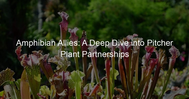Amphibian Allies: A Deep Dive into Pitcher Plant Partnerships - Pitcher ...