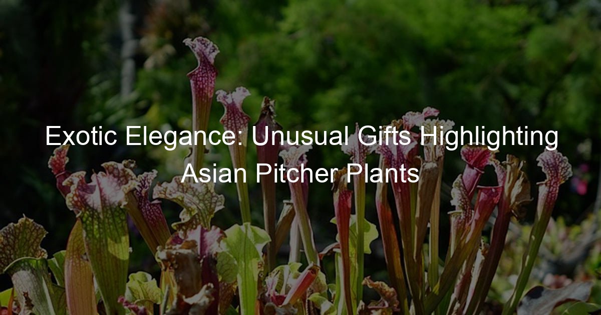 Exotic Elegance: Unusual Gifts Highlighting Asian Pitcher Plants ...