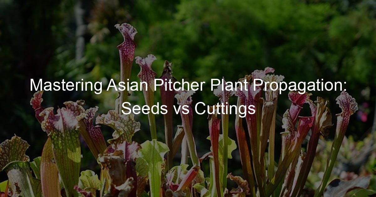 Mastering Asian Pitcher Plant Propagation: Seeds vs Cuttings - Pitcher ...