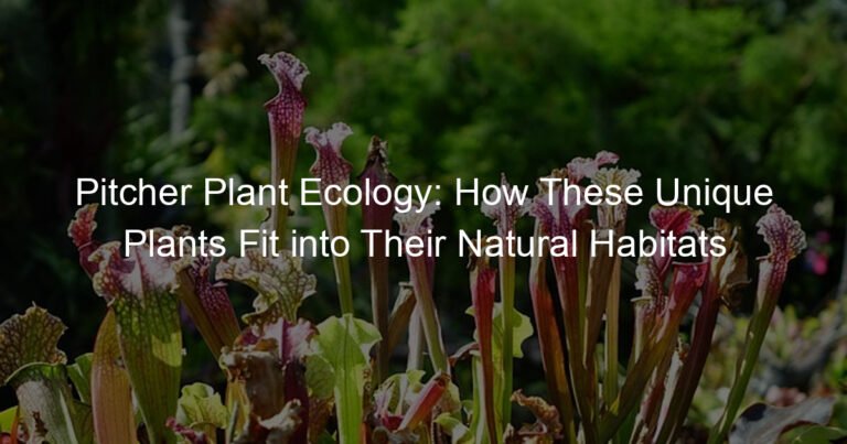 Pitcher Plant Ecology: How These Unique Plants Fit into Their Natural ...