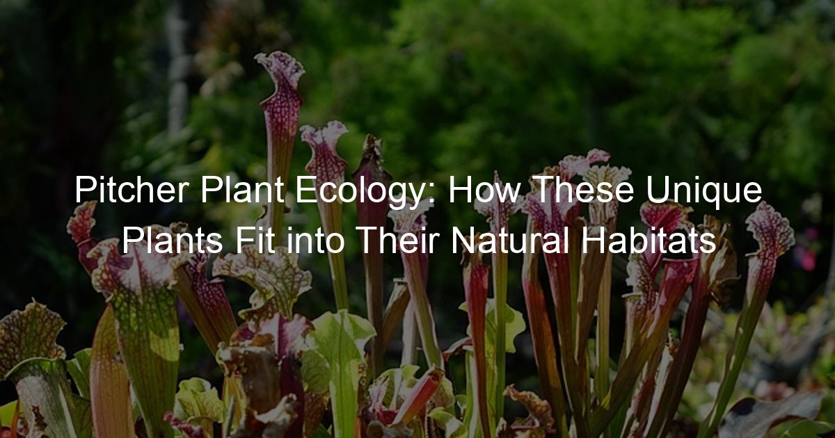 Pitcher Plant Ecology: How These Unique Plants Fit into Their Natural ...