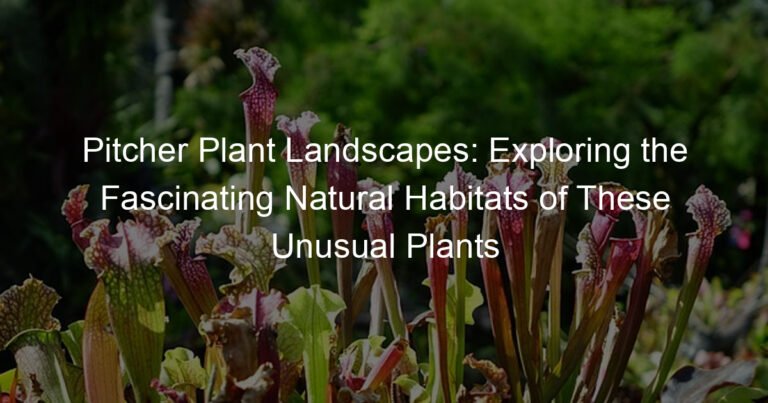 Pitcher Plant Landscapes: Exploring the Fascinating Natural Habitats of ...