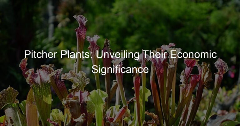 Pitcher Plants: Unveiling Their Economic Significance - Pitcher Crown