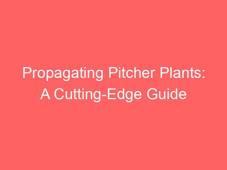 Propagating Pitcher Plants: A Cutting-Edge Guide - Pitcher Crown
