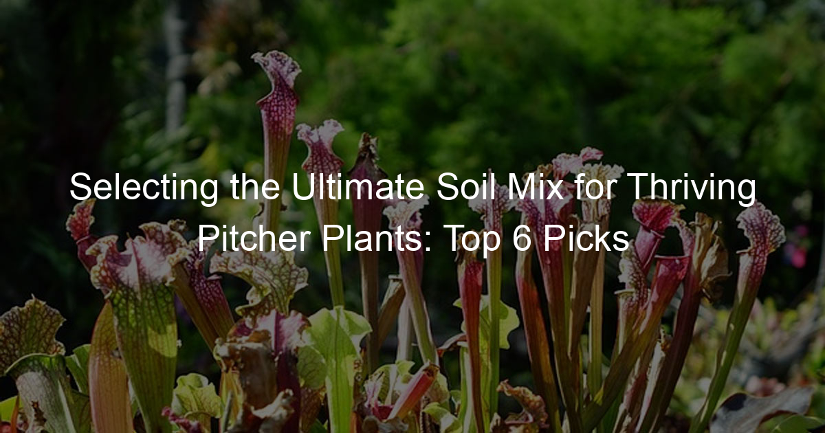 Selecting the Ultimate Soil Mix for Thriving Pitcher Plants: Top 6 ...