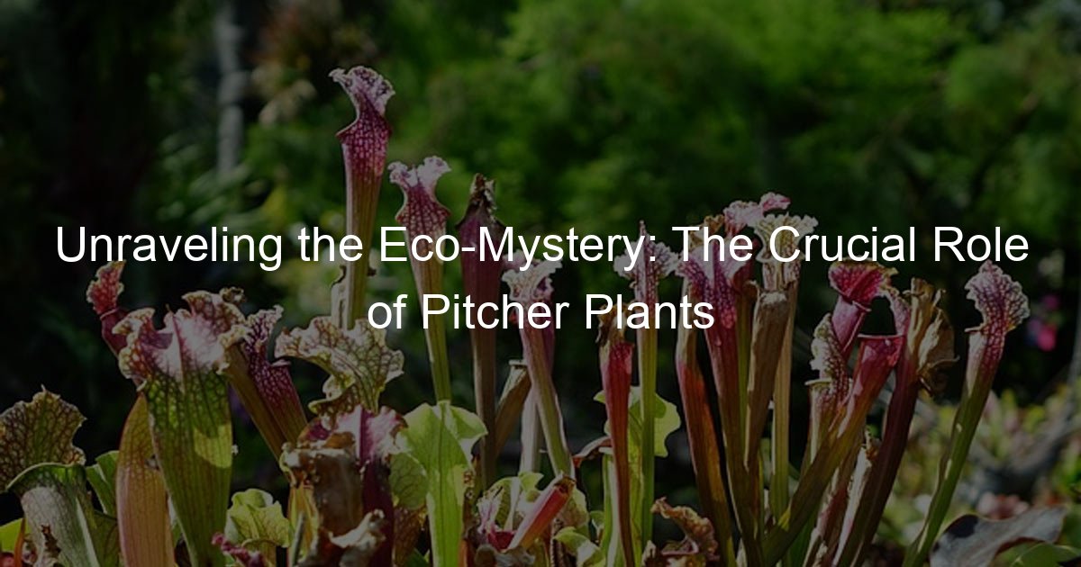 Unraveling the Eco-Mystery: The Crucial Role of Pitcher Plants ...