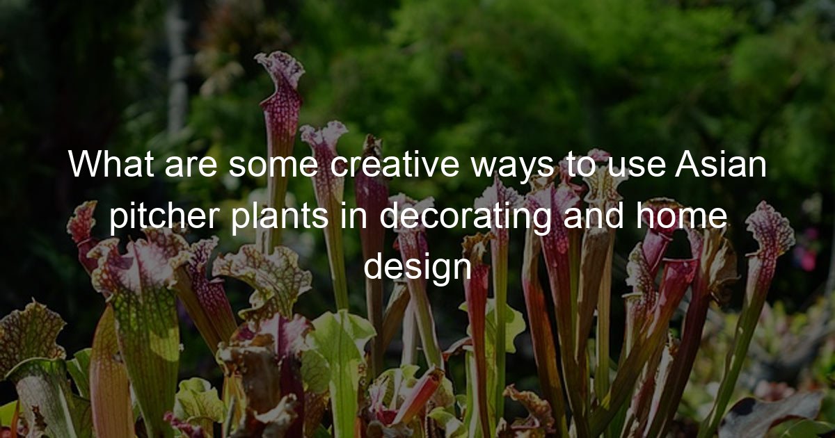 What are some creative ways to use Asian pitcher plants in decorating ...