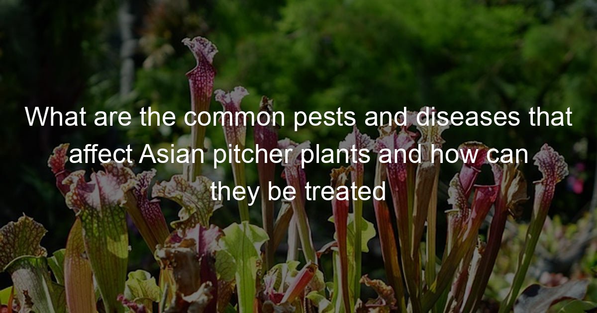 What are the common pests and diseases that affect Asian pitcher plants ...