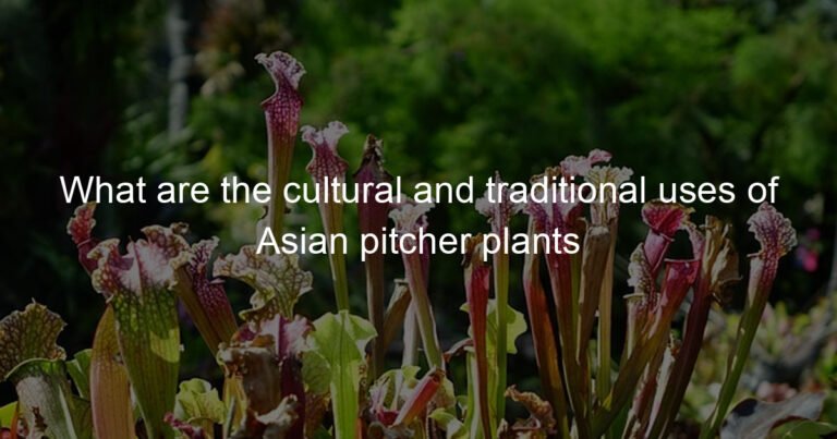 What are the cultural and traditional uses of Asian pitcher plants ...